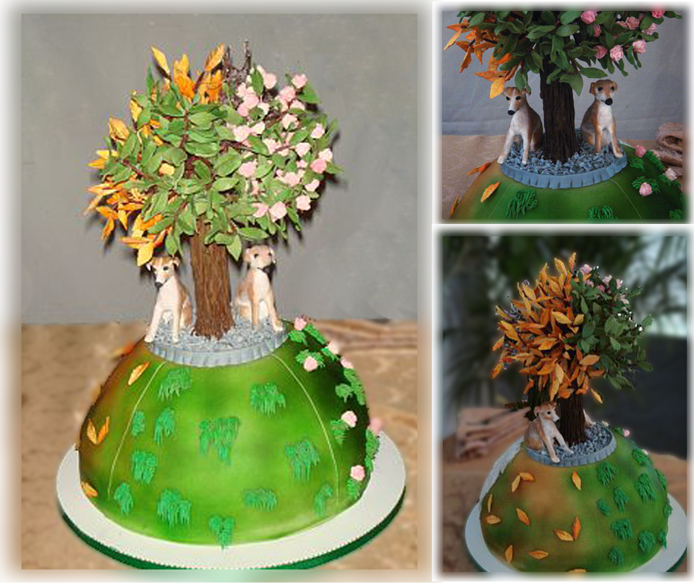 Four Seasons Cake – Maddies Cakes